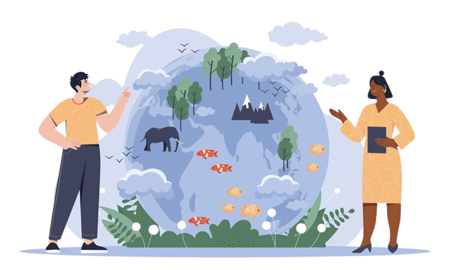 About Us – Markas Walet