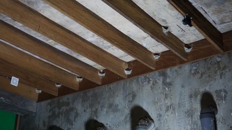 Yuk Ketahui Cara Burung Walet Membuat Sarang dari Air Liur - Markas Walet
